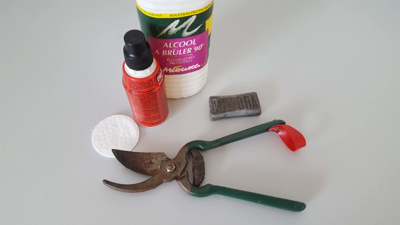 Gestes de jardinage - Saint-Jean-de-Luz