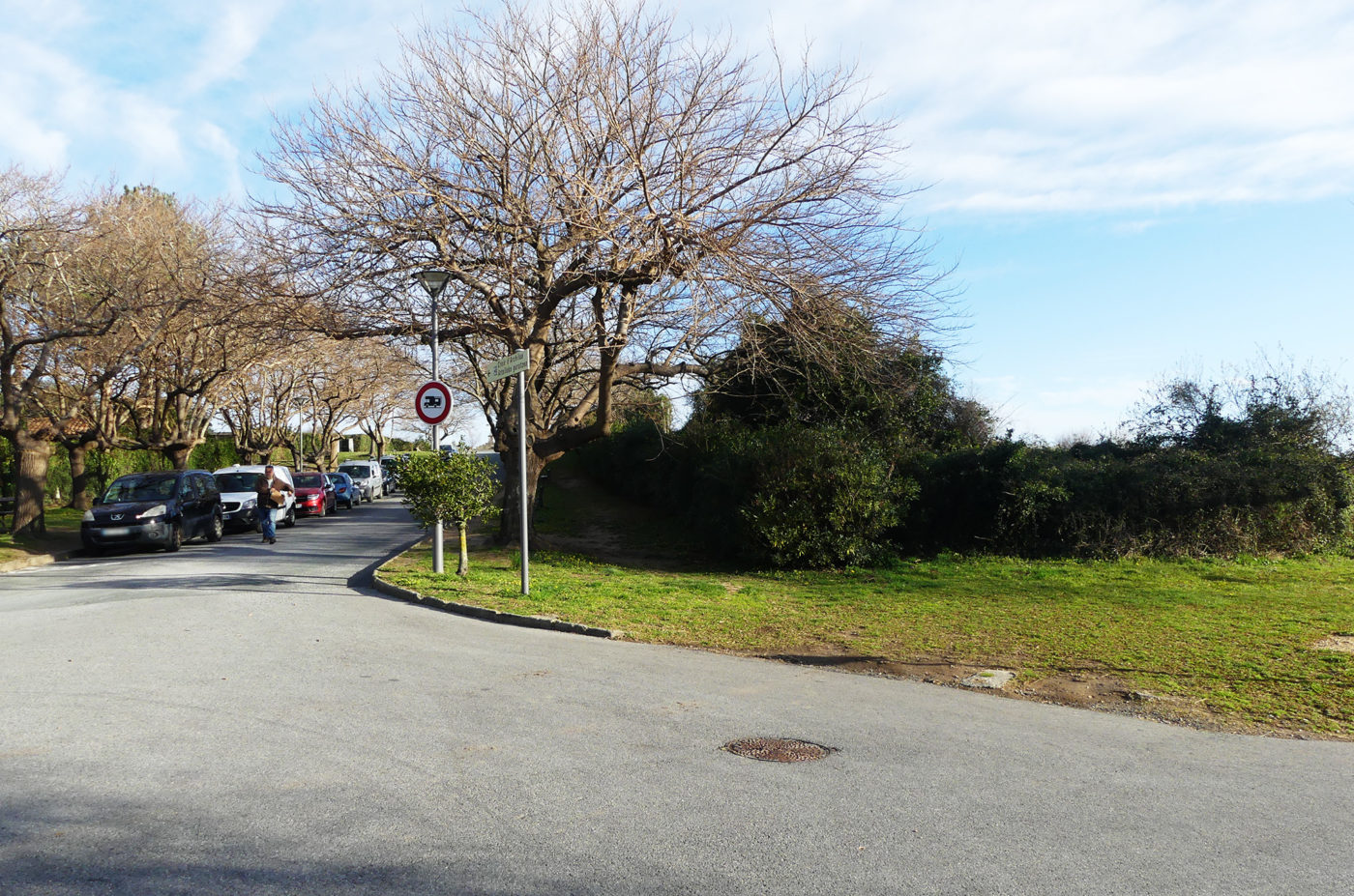 Une haie envahissante arrachée impasse Iratzeder - Saint-Jean-de-Luz