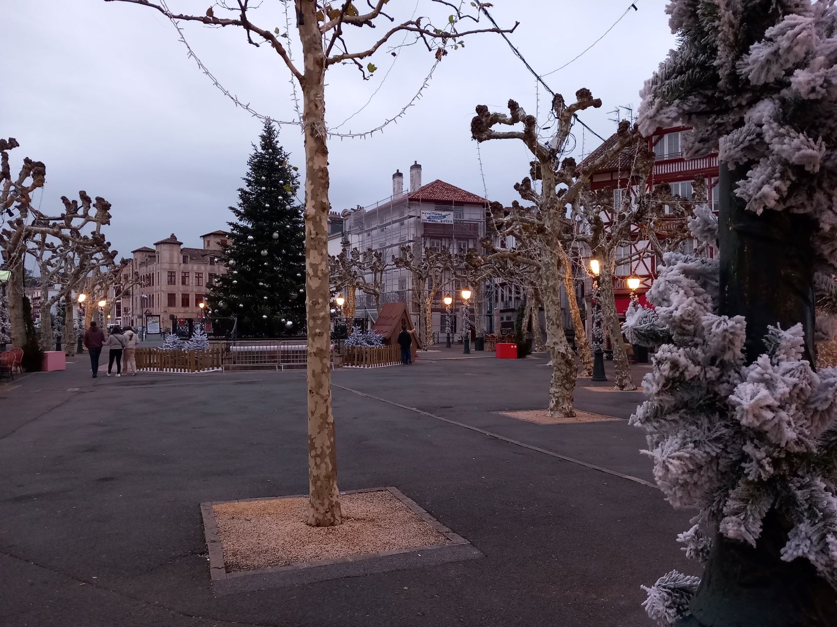 Lancement des illuminations de Noël le 1er décembre - Saint-Jean-de-Luz