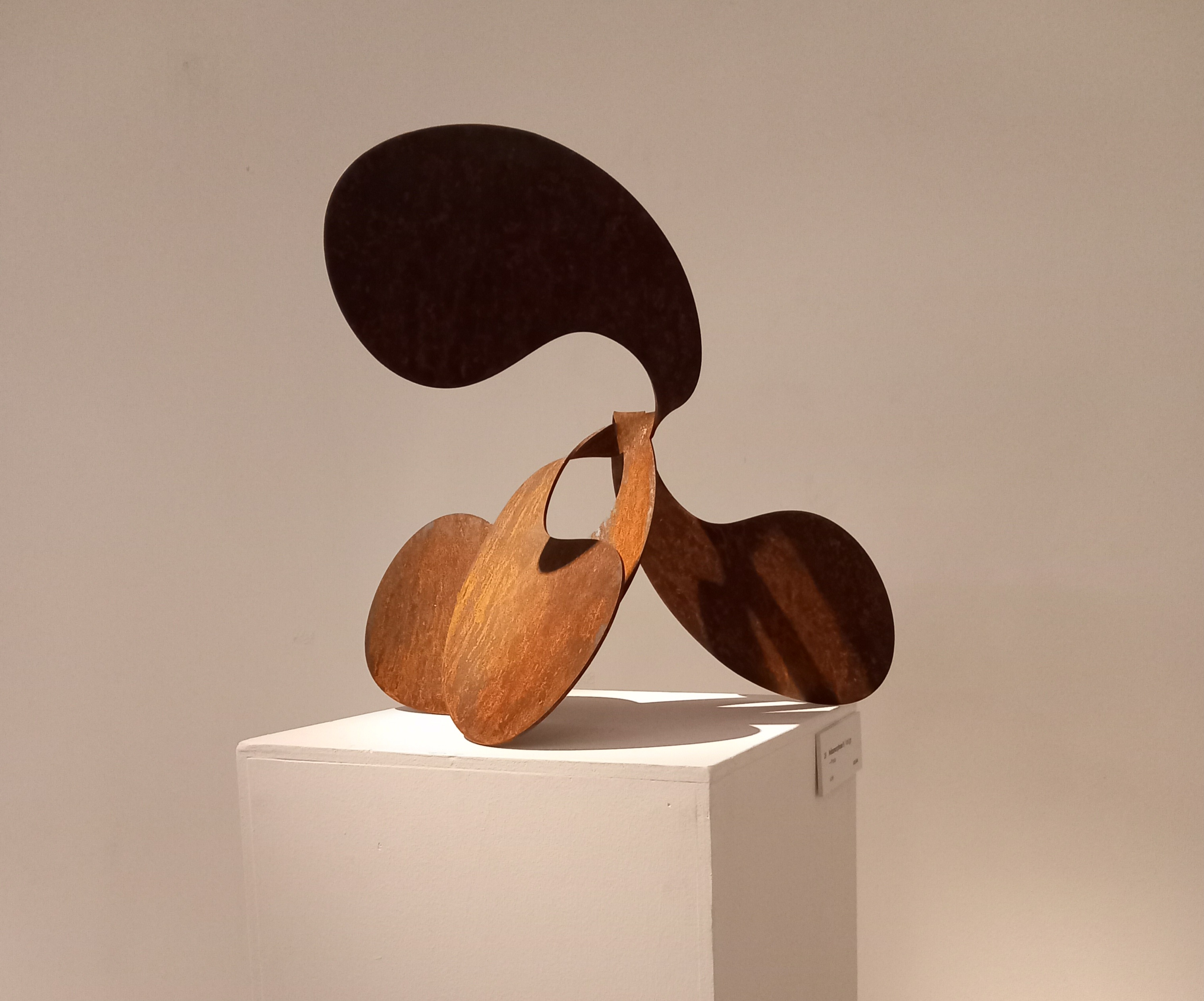 Exposition « LAUBURU : aukerak – possibilité » : échange avec Gogara ...